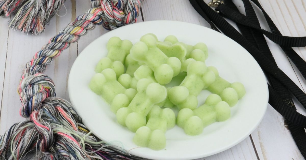Cucumber Pup Pop Frozen Dog Treats - Dog Mom Chef