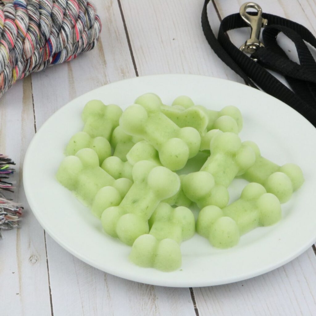 Cucumber Pup Pop Frozen Dog Treats - Dog Mom Chef